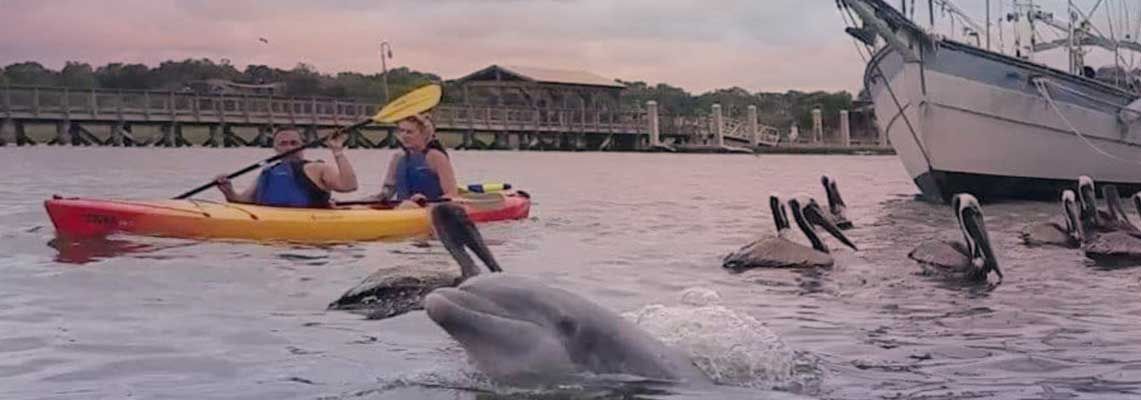 Charleston Kayak Rentals, Kayak Tours & Paddleboarding